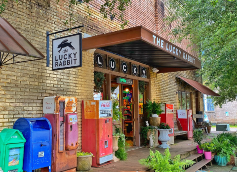 The Lucky Rabbit: A treasure hunt through Hattiesburg’s most charming ...